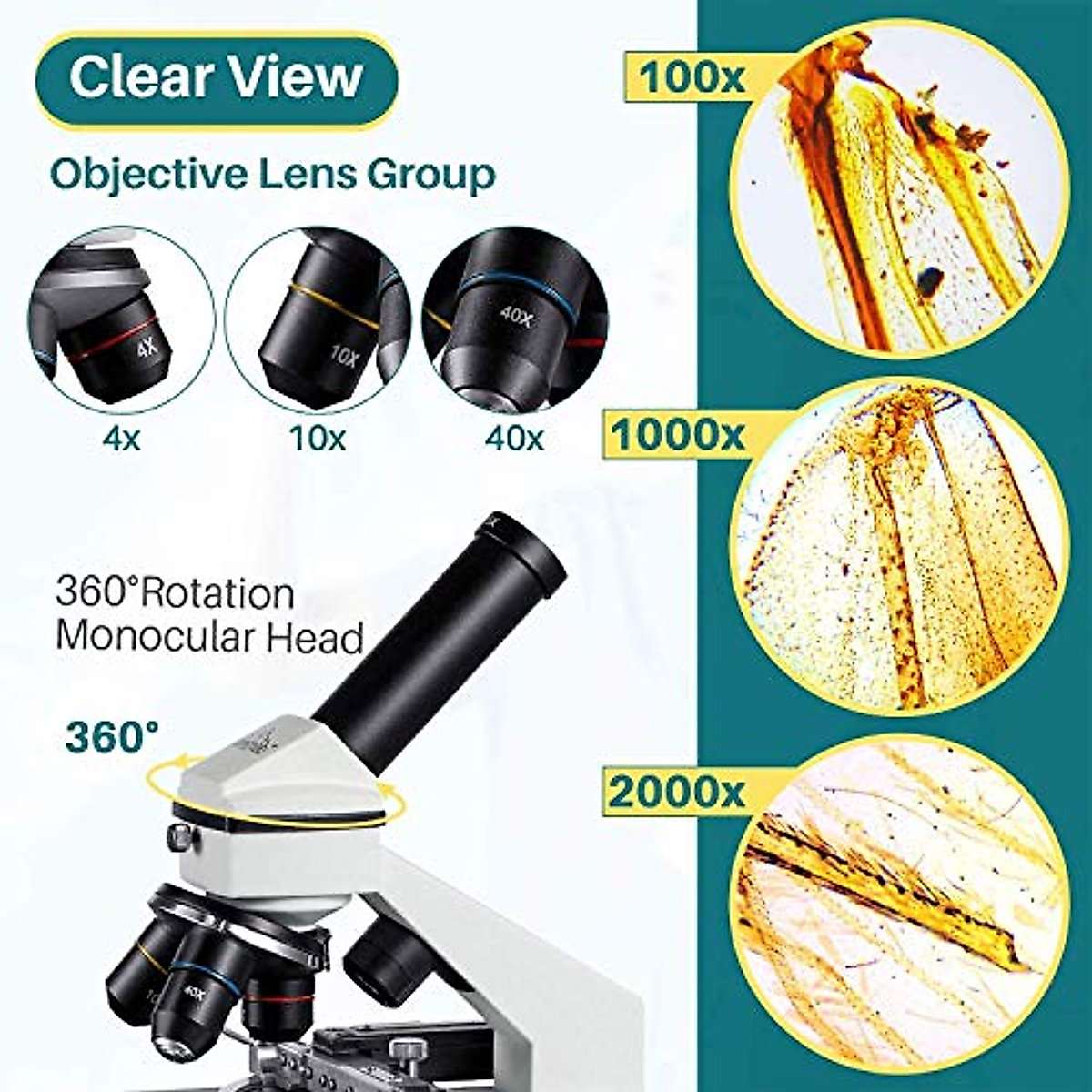 Microscope for Kid Student Adult, 100X-2000X Compound Monocular Microscope with Mechanical Platform Slides Set, Phone Adapter for School Home Education