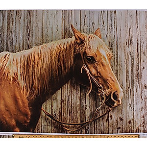 36" X 44" Panel Horse Palomino Equestrian Animals Hold Your Horses Digital Print Cotton Fabric Panel (PD7013-Palomino)