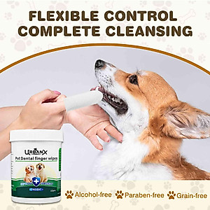 UrbanX Teeth Cleaning Wipes for Italian Greyhound and Other Companion Dogs, Remove Bad Breath, Plaque, and Tartar Buildup, No-Rinse Disposable Finger Toothbrush, Gentle Gum Care Pet Wipes, 60 Count