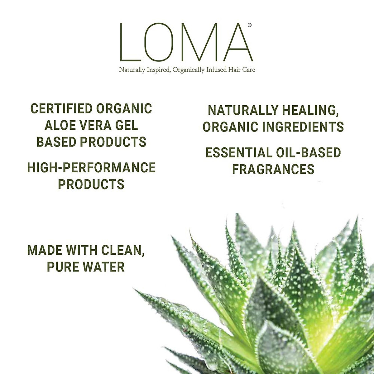 Loma Hair Care Moisturizing Shampoo & Treatment Duo