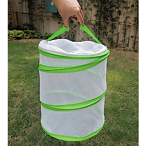 Trasfit Pop-up Insect and Butterfly Habitat Cage Terrarium – 12 x 14 Inches Tall