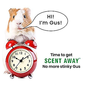 SCENT AWAY | Small Animal Bedding Deodorizer | 100% Natural & Fragrance Free, Non-Toxic Pet Odor Eliminator for Home | Active Carbon & Zeolite Extends Pet Bedding Life | Deodorizer for Pets 3qt. 2.84L