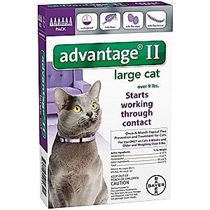 Advantage II Large Cat 6Pack