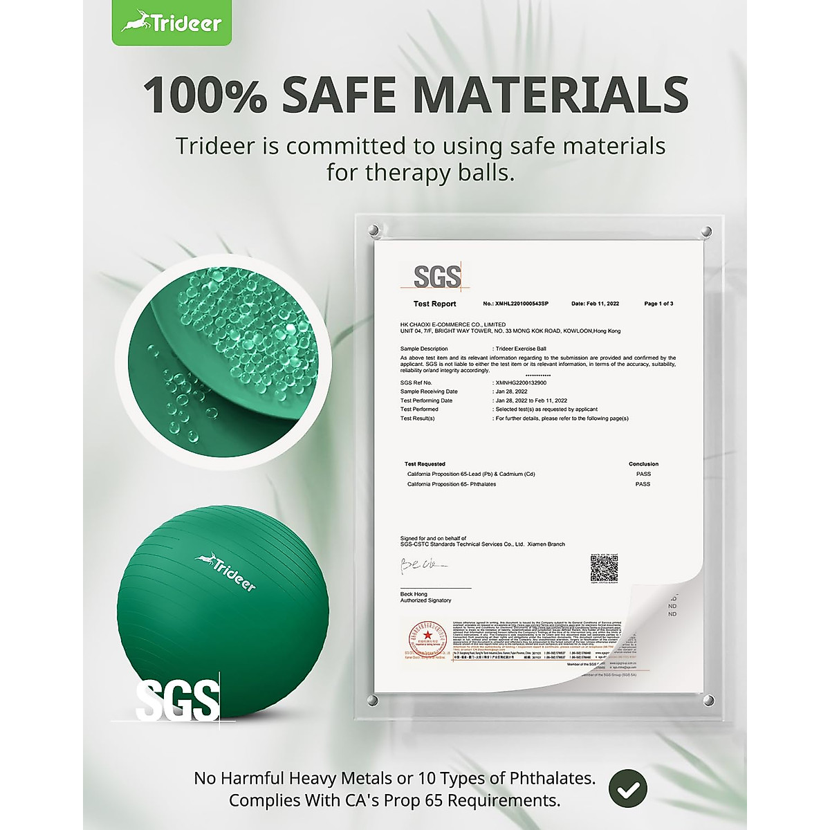 Trideer Exercise Ball for Physical Therapy, Swiss Ball Physio Ball for Rehab Exercises, Workout Fitness Ball for Core Strength, Yoga Ball for Balance & Flexibility