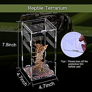 FORKPIE Habitat Terrarium Enclosure Reptile Terrarium Acrylic Tank Full View Jumping Spider Tarantula Enclosure, Insects Feeding Tank for Reptiles Mantis Lizard Habitat Snake Gecko(4.7x4.7x7.8inch)
