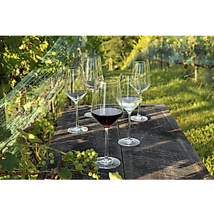 Zwiesel Glas Pure Tritan Crystal Stemware Glassware Collection Beaujolais Red Wine Glass, 16 Ounce (4 Pack)