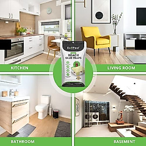 Roach Trap – 20 Pack | Sticky Indoor Glue Traps for Roaches and Other Bugs and Crawling Insects | Adhesive Cockroach Motel, Bait Trap, Monitor, Killer and Detector for Pest Control