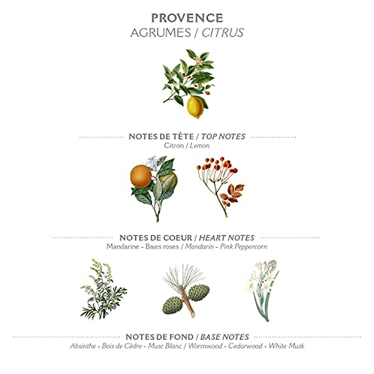 Panier des Sens - Marseille Liquid Hand Soap - Provence Hand Wash - Moisturizing Soap with Coconut Oil - Bathroom & Kitchen Refillable Soap - 97% Natural Ingredients Made in France - 16.9 Fl.oz