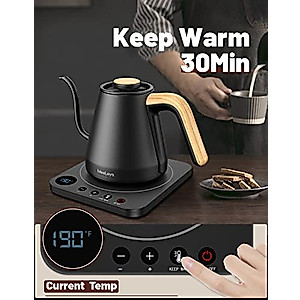 MeeLeya Electric Gooseneck Kettle with Variable Temperature Control, Pour Over Kettle for Coffee and Tea, Electric Kettle 1200 Watt, 0.8L (Black)