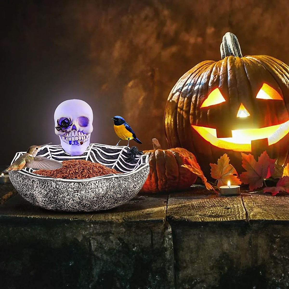 DREAMSOUL 12" Resin Bird Bath, Spider Net Bird Baths for Outdoors, Halloween Skull Birdbath Bowl for Halloween Party Garden Yard Lawn Decor