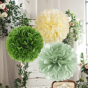 Sage Green Party Decorations with Paper Lanterns and Tissue Paper Pom Poms Green Hanging Decorations for Birthday Baby Shower Wedding Bridal Shower Graduation Party Decor