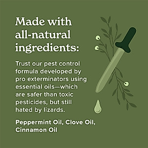 Vine Home Lizard Control Spray | 32 Ounce | Natural, Non-Toxic Lizard Repellent | Quick, Easy Pest Control | Safe Around Kids & Pets