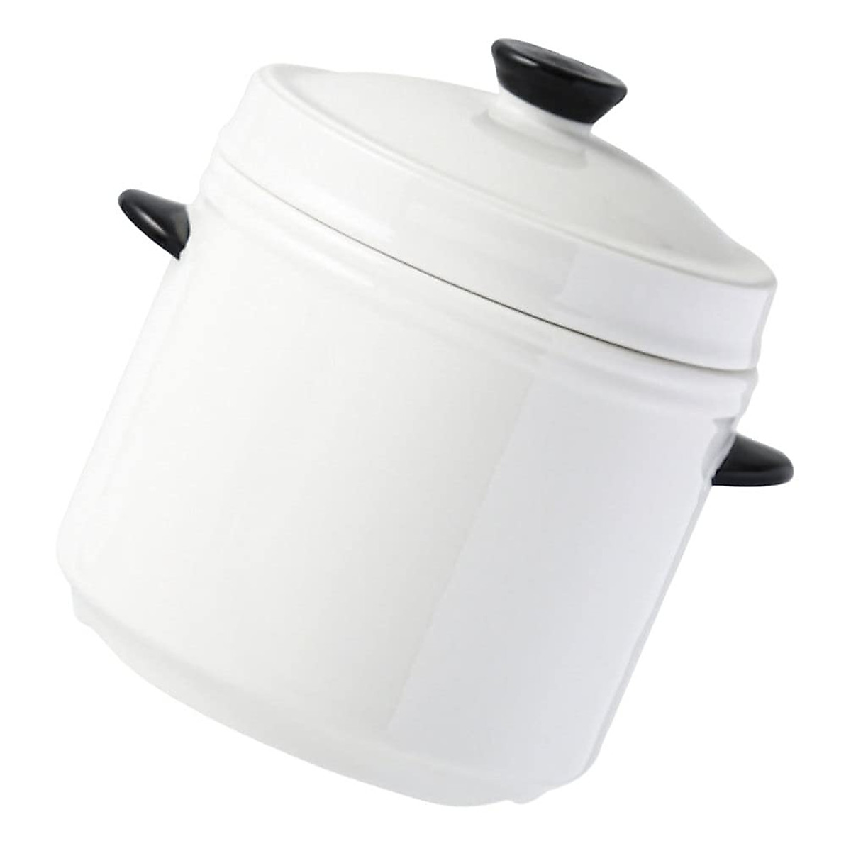 Hemoton Small Ceramic Stew Pot Stockpot Miso Soup Bowl with Lid Japanese Bowl for Bird Nest Tonic Dessert Noodle Soup Salad Pasta