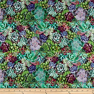 Whistler Studios One Of A Kind Succulents Multi, Fabric by the Yard
