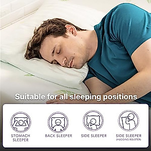 NapQueen King Size Mattress, 10 Inch Anula Green Tea Infused Memory Foam Mattress, King Size Mattress Bed in a Box, CertiPUR-US Certified Mattress