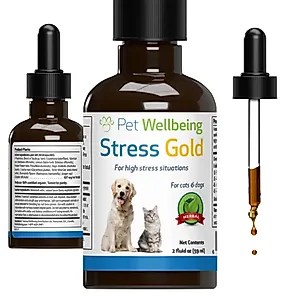 Pet Wellbeing Stress Gold for Cats - Occasional High Stress and Restlessness, Supports Relaxation, Travel, Vet Trips, Skullcap, Valerian - Veterinarian-Formulated Herbal Supplement 2 oz (59 ml)