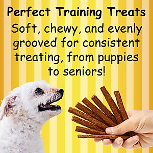 Fetch Fries Chicken and Sweet Potato Dog Treats, Soft Chicken Jerky for Small and Large Breeds, Naturally Healthy, Made in The USA (16 oz)