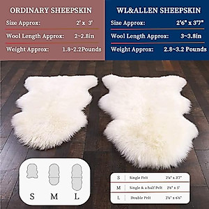 WL&ALLEN Large Sheepskin Rug Genuine Thick and Lush 3 Inch Pile，Luxury Australian Pelts |Large Sheepskin Wool Area Rugs (Large Single Pelt 2'6" x 3'7"，Light Brown)…