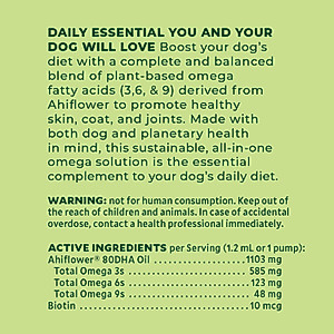 WagWell Allergy and Itch Chews & Ahiflower Omega Oil Bundle - Skin, Coat, Hip and Joint Supplement for Dogs - Itch Relief