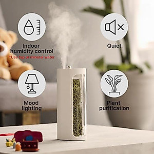 Mosslab Moss Air - Living Moss Humidifier | Aesthetic & Relaxing | Mindfulness & Meditation | Easy-Care Indoor Plants | Terrarium & Tabletop Decor | Mist Waterfall | Portable & Whisper-Quiet