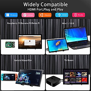 HAMTYSAN 10.1'' Raspberry Pi Screen Touchscreen Monitor 1024×600 HDMI Computer Monitor FHD IPS LCD Laptop Monitor for Raspberry Pi 4/3/2/Zero/B/B+ Jetson Nano Win11/10/8/7, Driver Free