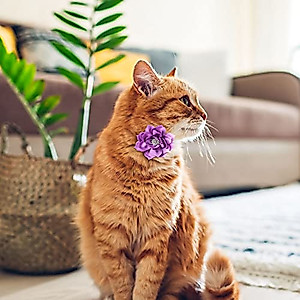 3 Pcs Rhinestone Cat Collars for Girl Cats Bling Kitten and Flower Adjustable Breakaway Collar with Bell Soft Velvet Shine Collar for Small Dogs Puppy (Pink, Blue, Purple, Flower Style)