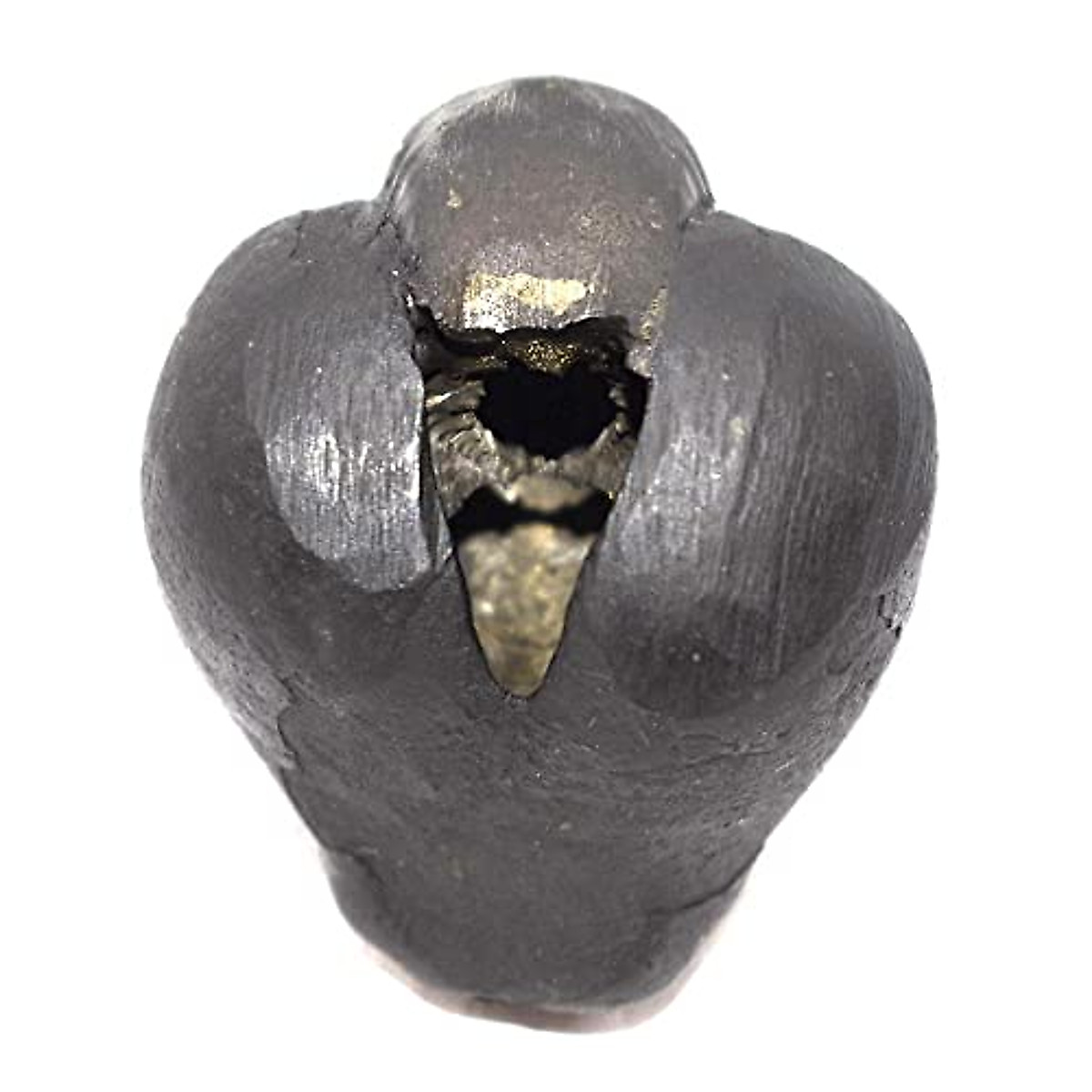 Dhumavati Shaligram/Adwaitya Golden Dhumavati Dasha MahaVidya Shaligram, Fossil, Fossil