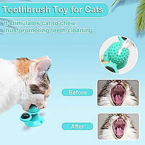 GBSYU Interactive Windmill Cat Toys with Catnip : Cat Toys for Indoor Cats Funny Kitten Toys with LED Light Ball Suction Cup‖Cat Nip Toy for Cat chew Exercise (Blue)