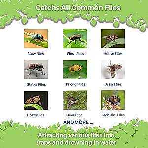 Enposmre 4 Pack Fly Traps Outdoor Hanging Disposable Fly Bags Trap, Effective Fly Catcher with Bait, Fly Killer for Patio, Chicken Coops, Horse Stables, Barns