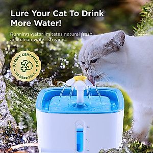 Cat Water Fountain - 84oz/2.5L Ciays Automatic Pet Water Fountain, Water Dispenser with 3 Replacement Filters for Cats