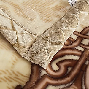 LGYKUMEG Warm Winter Fleece Plush Throw Blanket 71" × 87", Silky Soft and Warm, 2 Ply Reversible Raschel Throw,180×220cm3kg.