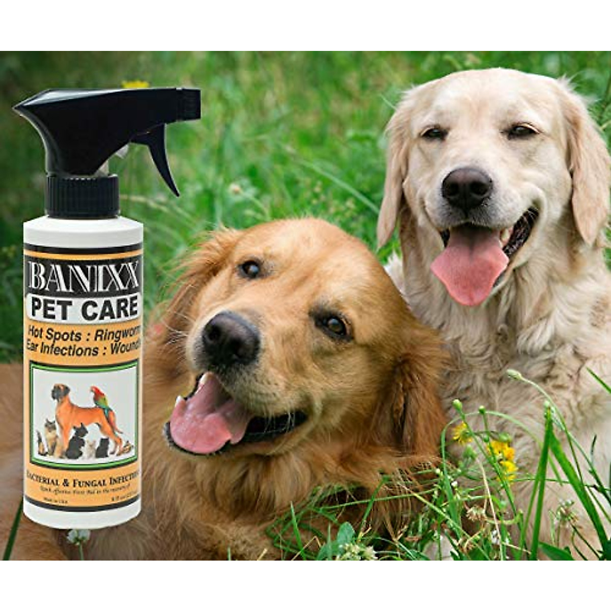 Banixx Pet Care 8oz for Ear Infections, Hot Spots, Itchy Dry Skin, Ringworm, Yeast Infections. Safe Around The Eye.