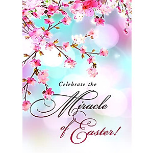Secret Sister - All Occasion - It's A Secret - KJV and NIV Scripture Greeting Cards - (Box of 12)