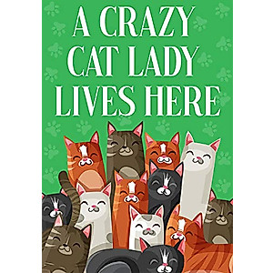 Cat Lady Garden Flag 12.5" x 18" Kitten Cat Lover Briarwood Lane