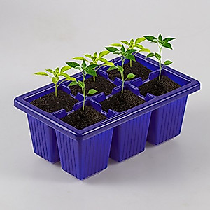 Yardwe 5 Pcs Square Seedling Pots Plant Germination Trays Vegetable Tray Plant Grower Sprouter Tray Starter Trays Growing Trays Microgreens Tray Mini Plants Miniature Planting Tray