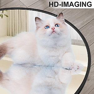 BOGDA 64"x21" Arched Full Length Floor Mirror with Stand, Aluminium Metal Frame for Wall Mounted Full Body Mirrors Leaning Body Hanging Wall Mirror for Bedroom Living Room Dressing Mirrors-Black