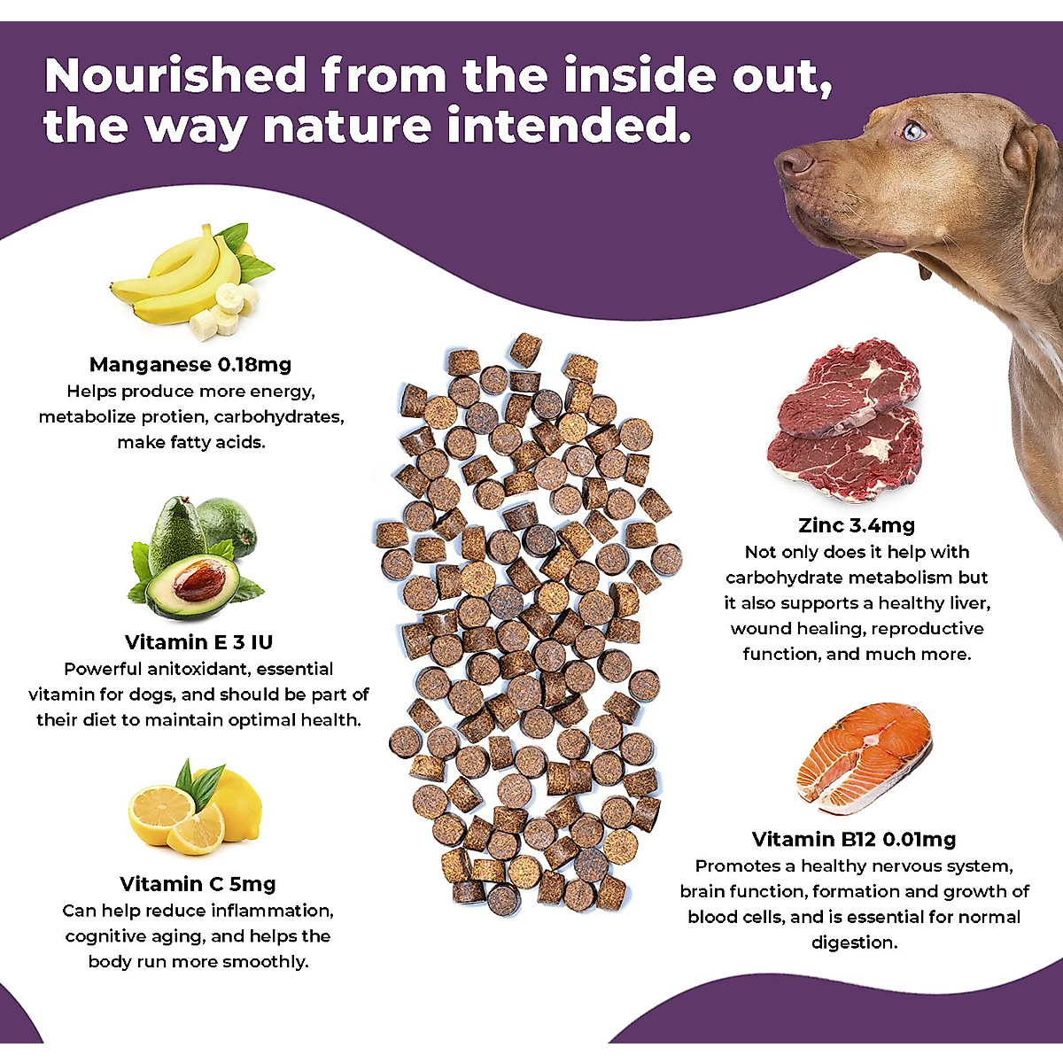 PetScy – Multi-Vitamin Chews, Dog Vitamins Multivitamin Treats, Multivitamin for Dogs of All Ages, Breeds & Sizes, Chewable Dog Vitamins with Omega 3 and Zinc, Pork Flavor, 30 Chews