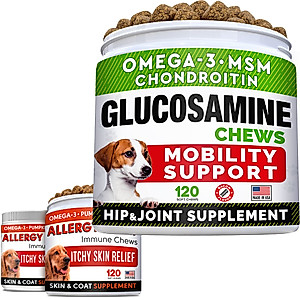 Glucosamine Treats + Allergy Relief Dog Bundle - Joint Supplement w/Omega-3 Fish Oil + Itchy Skin Relief - Chondroitin, MSM + Pumpkin + Enzymes + Turmeric - Skin & Coat - 120+240 Chews - Made in USA