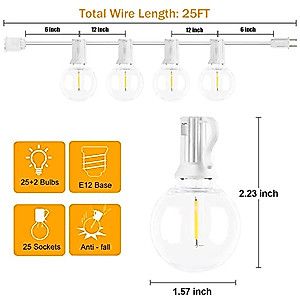 25Ft LED String Lights, G40 Outdoor Patio String Lights with 27 Shatterproof LED Clear Globe Bulbs, Indoor&Outdoor String Lights for Patio Garden Backyard Bistro Pergola Tents Gazebo Decor, White Wire
