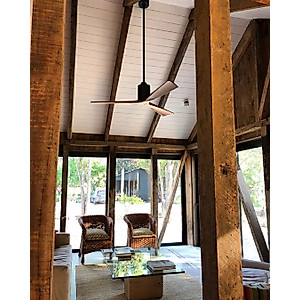 Matthews PA3-BRBR-WA-60 Patricia Indoor/Outdoor Damp Rated 60" Ceiling Fan with LED Light and Remote & Wall Control, 3 Walnut Solid Wood Blades, Brushed Brass