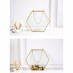 Ebrima Gold Glass Frame for Coin Display, Wall Hanging Coin Collecting Holders, Currency Dollar Bill Collection Supplies Holders for Collectors, Glass Piggy Bank (Medium)