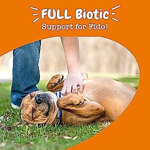 Zesty Paws Probiotics for Dogs - Digestive Enzymes for Gut Flora, Digestive Health, Diarrhea & Bowel Support - Clinically Studied DE111 - Dog Supplement Soft Chew for Pet Immune System - VS - 90 Count