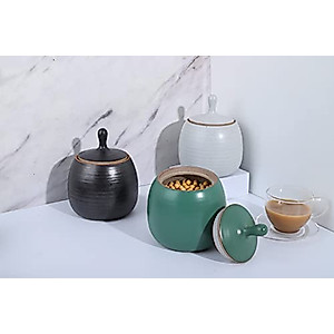 Amoysanli Kitchen Canisters Vintage Ceramic Food Storage Jar with Airtight Lid for Tea, Coffee, Herb, Sugar, Spice, Nuts (Ancient Green)