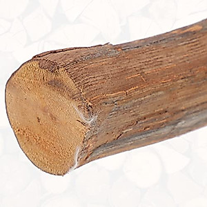 LUOZZY Bearded Dragon Accessory Wooden Tree Branch Reptile Tree Branch Lizard Reptile Toy for Small Pet