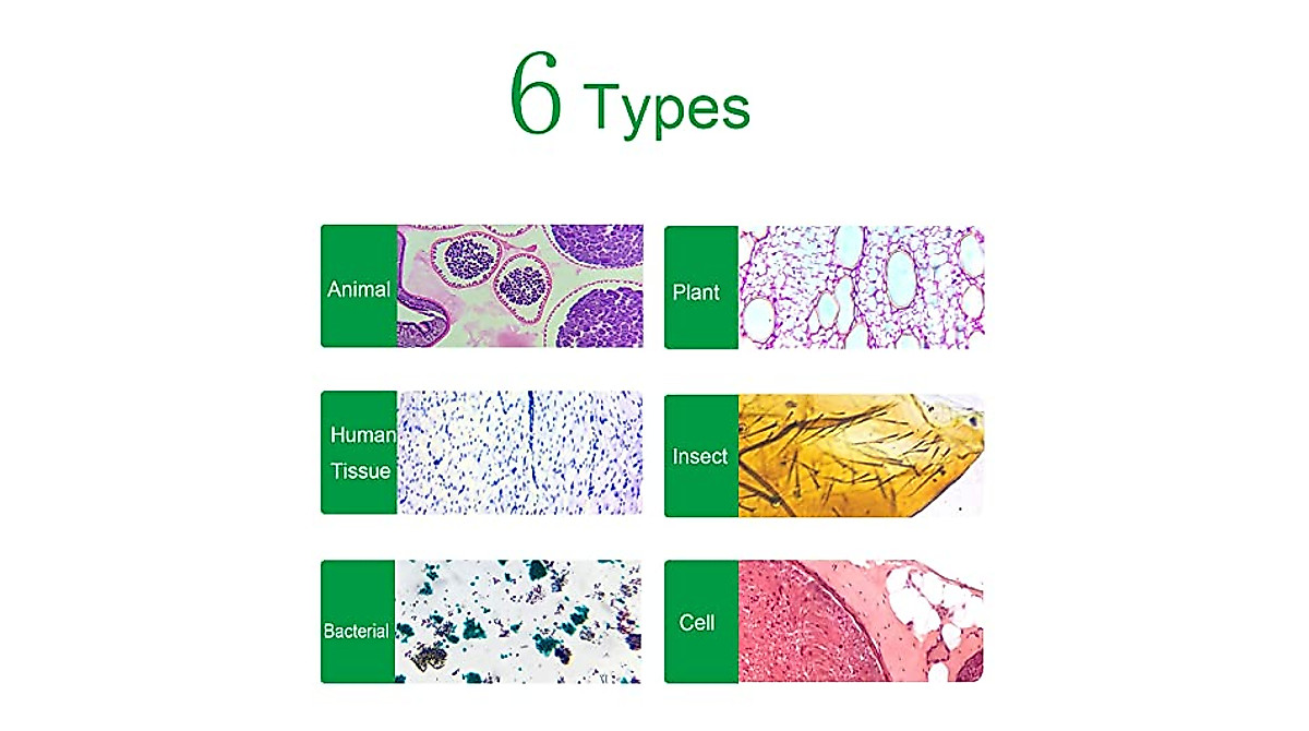 Explore 100 Prepared Microscope Slides for Learning