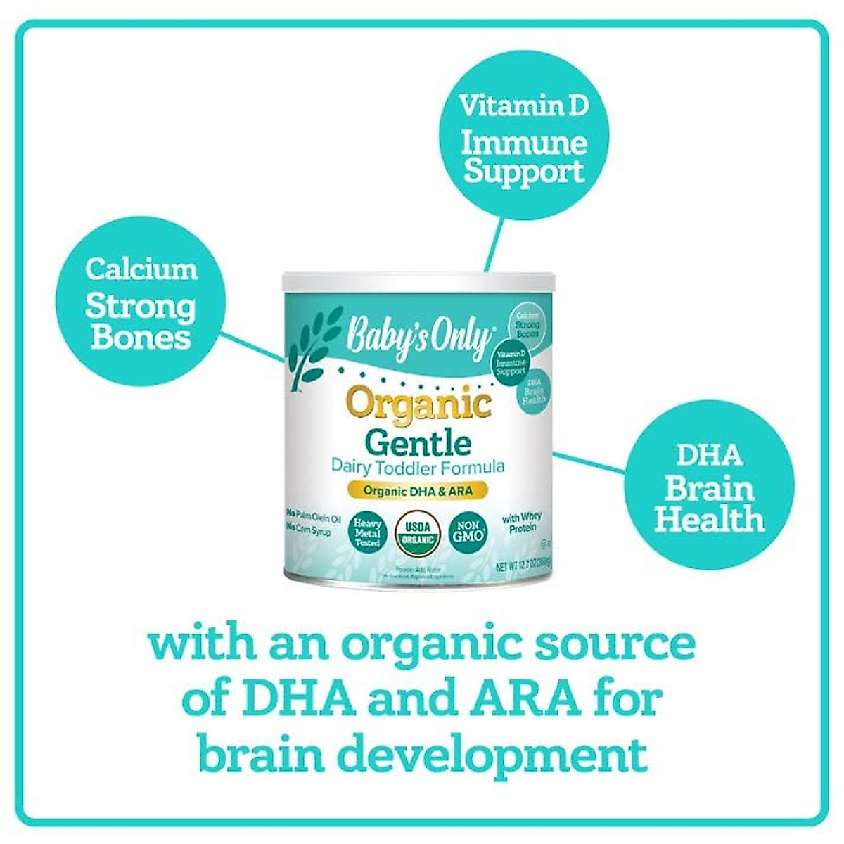 Baby's Only Organic Whey & Dairy Protein with DHA & ARA Gentle Toddler Formula, 12.7 Oz (Pack of 1) | Non-GMO | USDA Organic | Clean Label Project Verified | Tummy Gentle