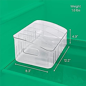 YouCopia FreezeUp Freezer Bin 12", Fridge Organizer with Storage, BPA-Free Food-Safe Container
