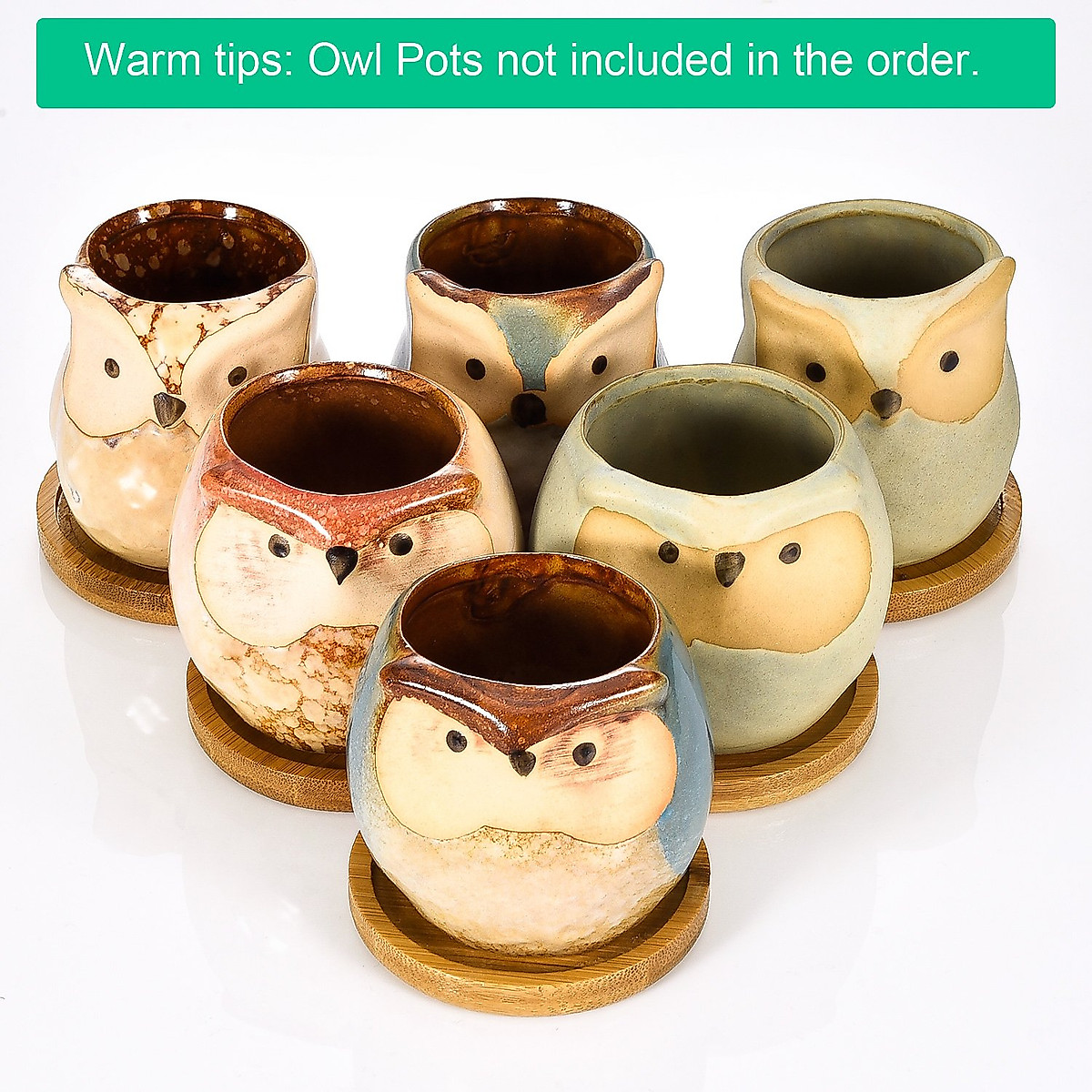 Trays 2.5 Inch Bamboo Round Plant Saucer for Most Plant Pot Flower Pot, Solution for Owl Pot with Hole (6 Pack)