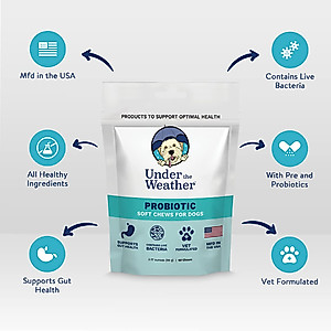 Under the Weather Pet Soft Dog Chew Supplements for Calming and Probiotics | Supports Relaxation and Normal Emotional Balance in Dogs (Probiotics, 60 Count)