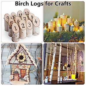 6 Pack Birch Logs Decorative Birch Branches Natural Birch Log for Decoration,Crafts,DIY, Fireplace Decor Firewood(Birch Logs:2.3"-3.2" Dia. x 16.5" Length)